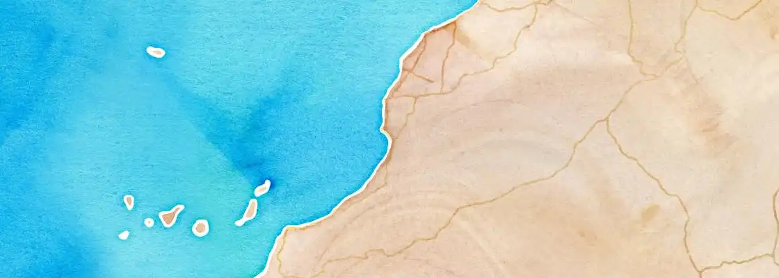 Agadir Cruise Port Guide: Shore Excursions, Activities, and Important ...